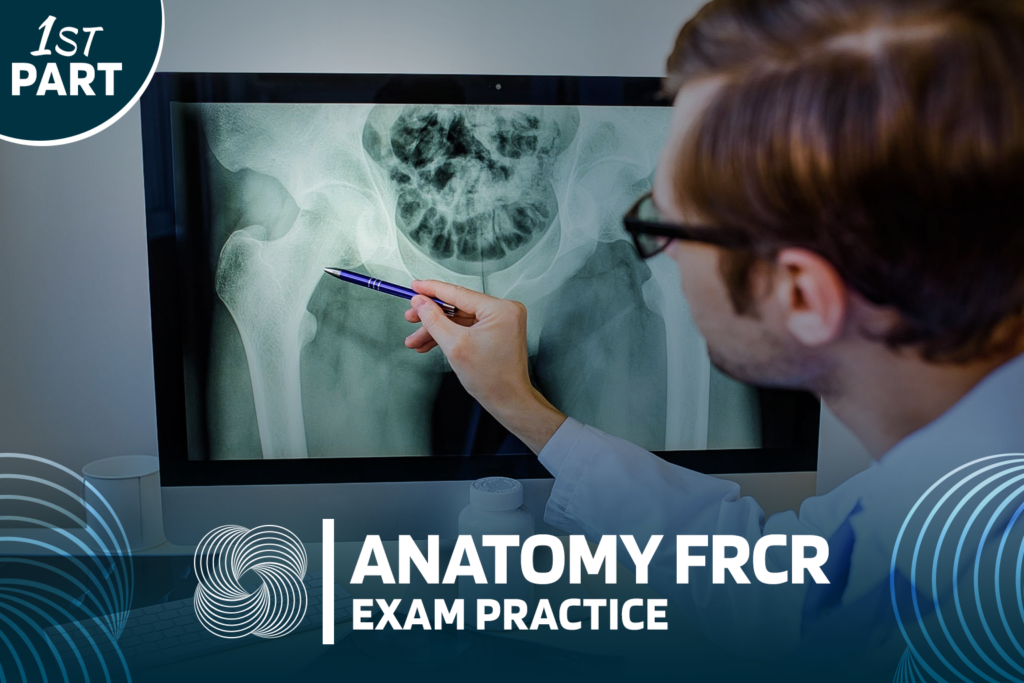 Radiology Services | Comprehensive Training and Specialty Exam Preparation